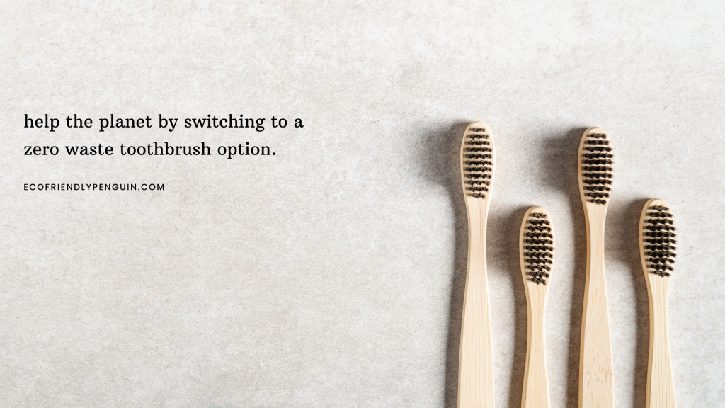 Bamboo Toothbrushes and zero waste toothbrush options.